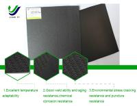 China Column Point Rough Surface HDPE Textured Geomembrane 0.3-3.0mm Thickness for Anti-Slip Anti-Seepage Applications for sale
