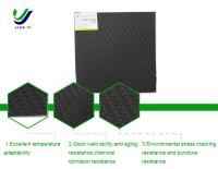 China HDPE Column Point Rough Surface Geomembrane 0.30-3.00mm Thickness for Corrosion and Seepage Resistance for sale