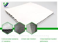 China 200g/6.3mm/200g Drainage Geonet with 8-14 KN/m Tensile Strength for Landfill and Tunnel Protection for sale