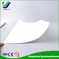 China High Strength Composite Geomembrane 4-6m Width, 200-1500g/m² for Landfill Anti-Seepage and Environmental Protection for sale