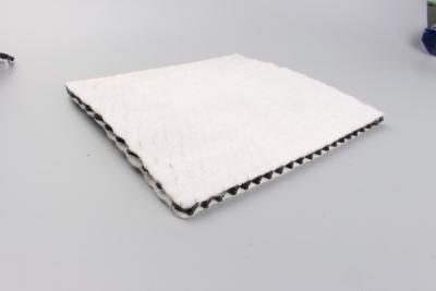 China Three-Dimensional Composite Drainage Geonet 5-8mm Thickness for Civil Engineering Projects for sale