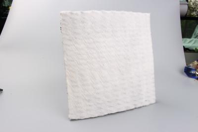 China Three-Dimensional Composite Drainage Network 750-1800 gsm for Landfill Roadbed Tunnel Wall for sale