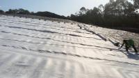 China UV Resistant HDPE Smooth Geomembrane 0.75mm-3.00mm Anti-Aging Waterproof Liner for sale
