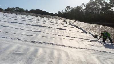 China UV Resistant HDPE Smooth Geomembrane 0.75mm-3.00mm Anti-Aging Waterproof Liner for sale