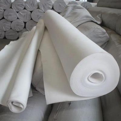 China Nonwoven Geotextile Fabric 100-250 g/m² for Soil Stabilization Erosion Control Landscaping for sale