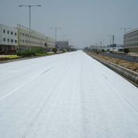 China 100g-800g/M² Staple Fiber Geotextile with 3.0-40.0 KN/m Breaking Strength for Civil Engineering for sale