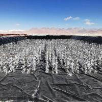 China Acid Alkali Resistant HDPE Smooth Geomembrane 1.5mm Thickness for Anti Seepage Engineering for sale