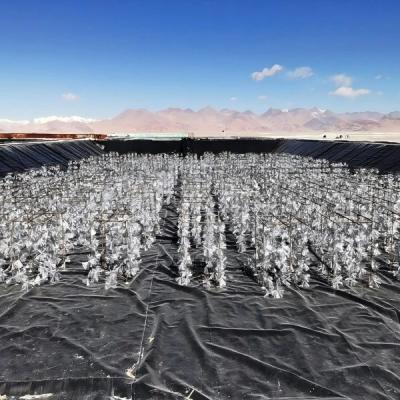 China Acid Alkali Resistant HDPE Smooth Geomembrane 1.5mm Thickness for Anti Seepage Engineering for sale