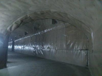 China HDPE Geomembrane 1.5mm 2.0mm for Tunnel Waterproofing Anti-seepage Project for sale