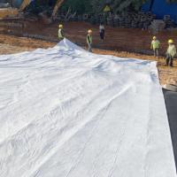 China Nonwoven Geotextile 200-600 g/m² for Road Base Stabilization and Railway Track Bed Separation for sale