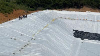 China Multi-Standard Long Fiber Geotextile Fabric 40-120 kN/m Acid Alkali UV Resistant for Infrastructure for sale