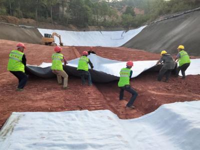 China Optimal Drainage 3D Composite Drainage Net Width 2m-6m Tensile Strength ≥16kN/m for Surface Subsurface Water Management for sale