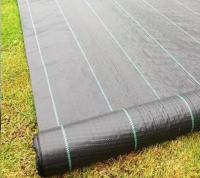 China Black Polypropylene Woven Geotextile 2-6m Width with 2500-3800 N/5cm Tensile Strength for Civil Engineering for sale