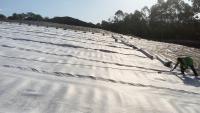 China Smooth HDPE Geomembrane Defect-free Homogeneous Barrier Solution Long-term Environmental Protection for sale