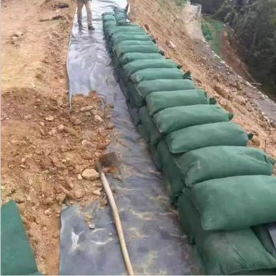 China Hydro-Shield Emergency Eco-Bag: Rapid Response to Flooding for sale
