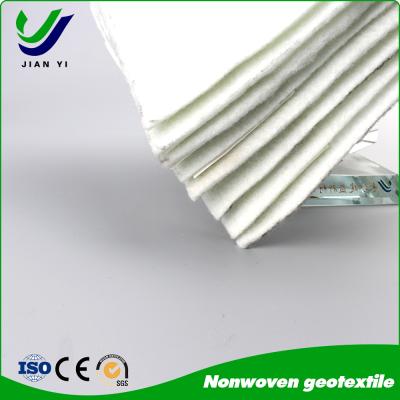 China Robust PP Geotextile Fabric: Advanced Filtration and Stabilization for Coastal and Hydraulic Engineering Projects for sale