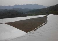 China Permeable Nonwoven Geotextile Filter Fabric 150-400 g/m² for Drainage and Erosion Control for sale