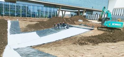 China Nonwoven Long-Filament Geotextile 600g/m² High Tensile Strength for Infrastructure for sale