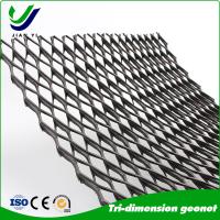 China 3D Composite Drainage Net  Rapid Water Removal, Unmatched Stability for sale