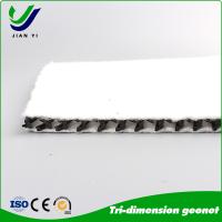 China 3D Composite Drainage Net-Geosynthetic Drainage Material for sale