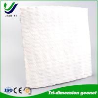 China 3D Composite Drainage Net 16kN Tensile Strength UV Chemical Resistant Underground Garden Drainage for sale