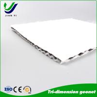 China 3D Composite Drainage Net 2000 kPa Compressive Strength Tensile 16kN/m UV Resistant for Landfill Highway Drainage for sale