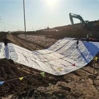 China Eco-Friendly Cement Blanket 4m Width for Slope Protection Waterproof Geotextile Composite for sale