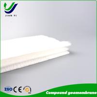 China Corrosion Resistant HDPE Composite Geomembrane 0.2-3mm Thickness for Harsh Environments for sale