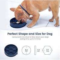 China Non Slip Slow Feed Silicone Pet Bowl Easy Cleaning With Suction Cup for sale