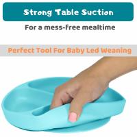 China Stay Put Divided Silicone Baby Plate Microwave Dishwasher Oven Safe for sale