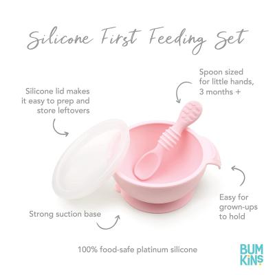 China Eco friendly Silicone Weaning Suction Bowls With Lid Spoons For 3 Months Old for sale
