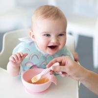 China Eco friendly Silicone Weaning Suction Bowls With Lid Spoons For 3 Months Old for sale