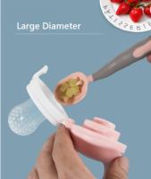 China Fruit Vegetable Food Feeder Pacifier With Nipple PP Cover Food Grade Silicone for sale
