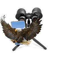 China High Powered 12x60 Binocular With 60mm Objective Lens 12x Magnification for sale