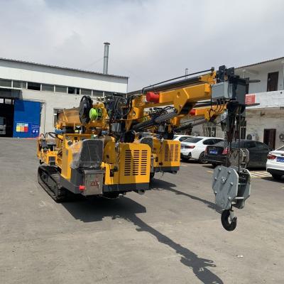 China Customized Spider Crawler Crane Diesel Engine And Electric Dual Power for sale