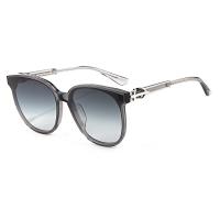 China China Manufacturer 2025 Private Label Luxury Men Women Modern Design Beach Big Tea Shade Frame Eyewear Custom logo Sunglasses for sale