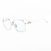 China Oversize square Frame Fashion Street Women Fashion 2025 Titan Sunglasses High Quality Pilot Sunglasses Men Custom Shades for sale