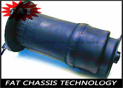 China Rear Land Rover Air Suspension Springs for Range ROVER 2 II P38 94-02 RKB101460E RKB101460 for sale