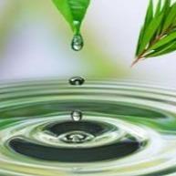 China Natural Melaleuca Alternifolia Leaf Water Hydrosols CAS 57-55-6 99-93-4 for sale