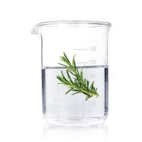 China Soothing Rosemary Floral WaterGentle Antioxidant & Scalp Care Solution for sale