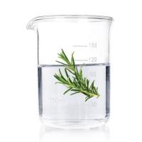 China Soothing Rosemary Floral Water 84604-14-8 Rosmarinus Officinalis Leaf Water Hydrosols for sale