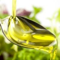 China Evening Primrose Oil Raw Materials Oenothera Biennis Extract For Skin Hair Care for sale