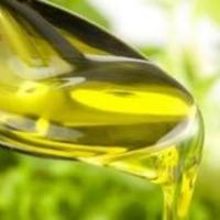 China Evening Primrose Oil Barrel Cosmetics Oenothera Biennis Oil 90028-66-3 for sale