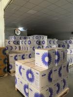 China Heavy Anti-Corrosion Polyethylene Powder Coating with Strong Adhesion for Electrostatic Spraying for sale