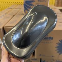 China High Gloss Metallic Chameleon Powder Coat for Spray Operation Curing in 15-10 Minutes for sale