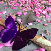 China Candy Purple Chrome Effect Electrostatic Powder Coating with 50KG/cm Impact Resistance for Metal Surfaces for sale