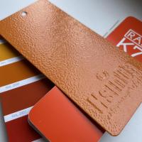 China RAL 2000 Orange Peel Wrinkle Texture Powder Coating for Hardware Tool for sale