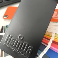 China Weather Resistant Durable Luxury Color RAL9005 Matt Polyester Powder Coating Paint for sale