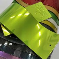 China Chrome Golden Green Red Illusion Color Solid Polyester resin powder coating paint for sale