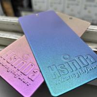 China UV Resistant Durable Nanotech Transparent Matt Clear Coat Powder Coating for Electrostatic Spray Paint for sale